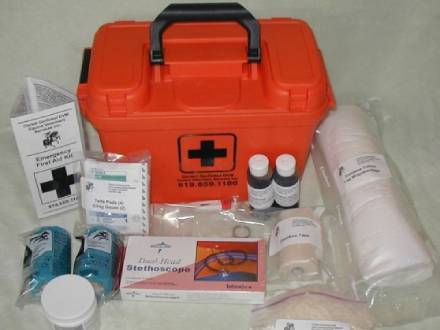 Equaide Horse Proud Flesh Eliminator - Dr. Christi Garfinkel DVM